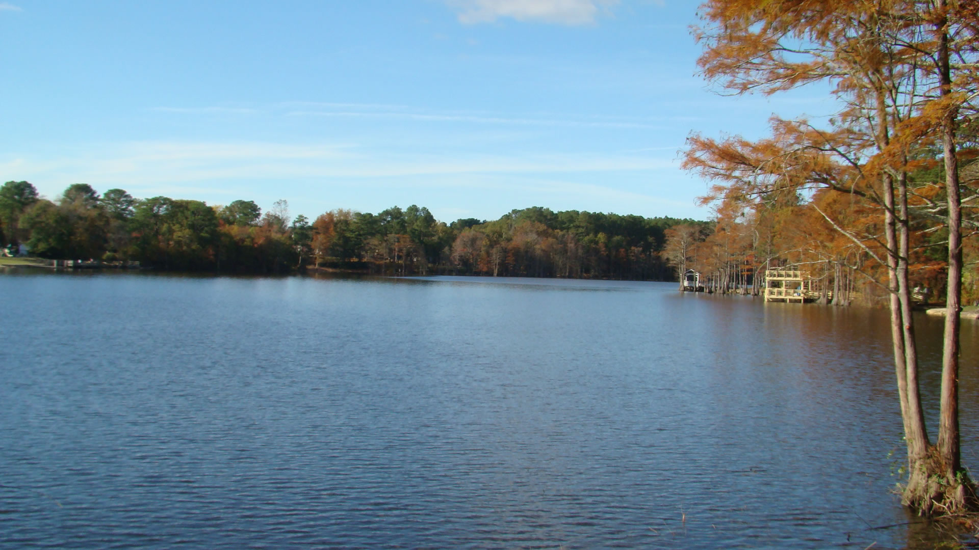 The Friends Of Hope Mills Lake DSC07042 JPG